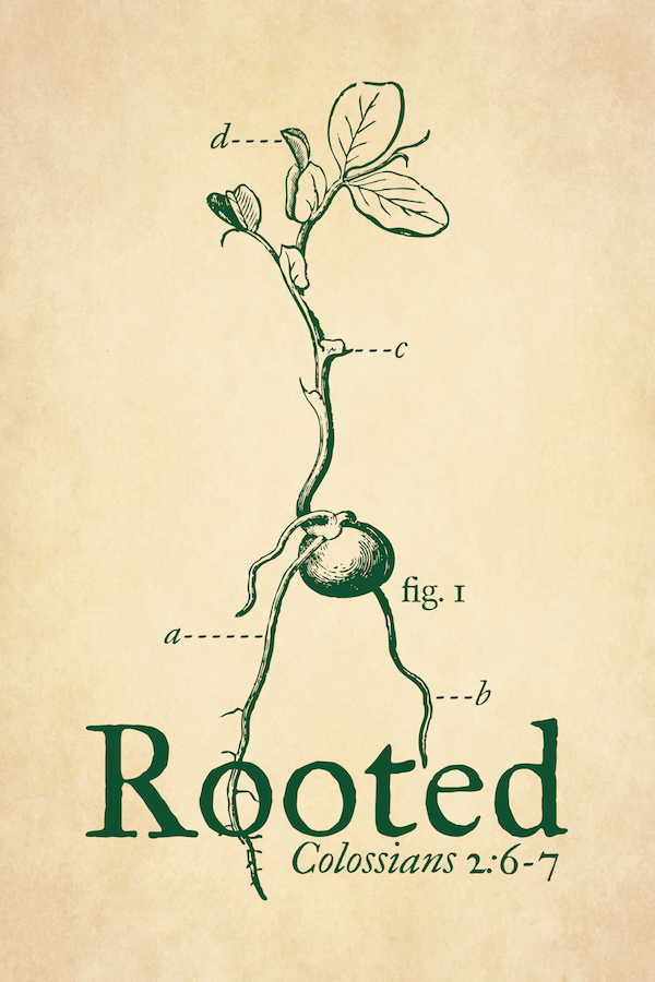 Rooted - Resource Center
