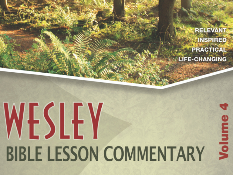 Wesley Bible Lesson Commentary Series - Shepherding Resource - Resource ...